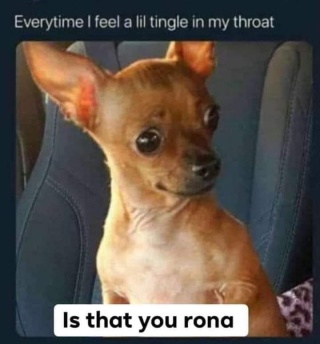 Is That You, Rona? – frustratedboomers